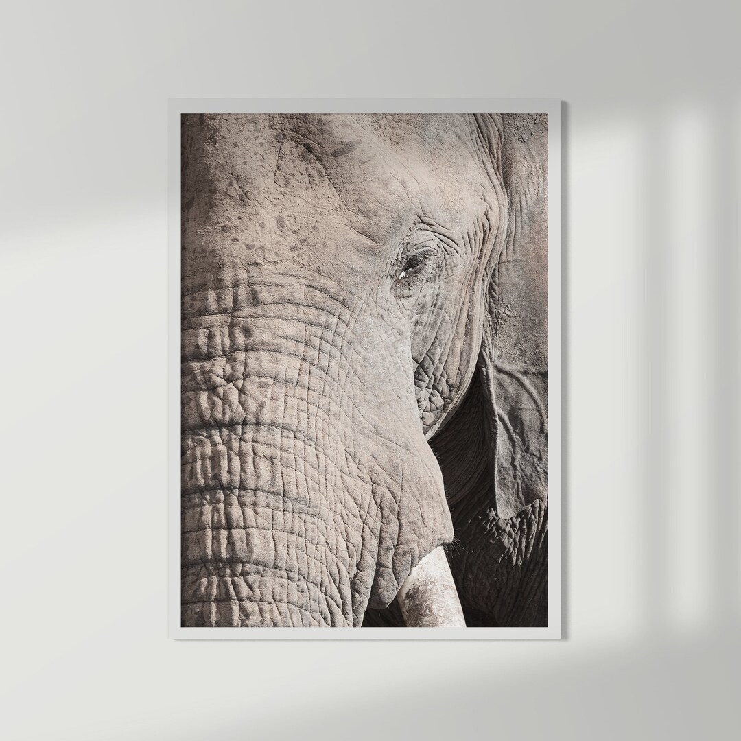 Elephant Print Elephant Wall Art Printable Safari Animal - Etsy
