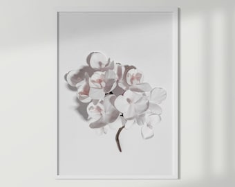 Orchid Wall Art | Etsy