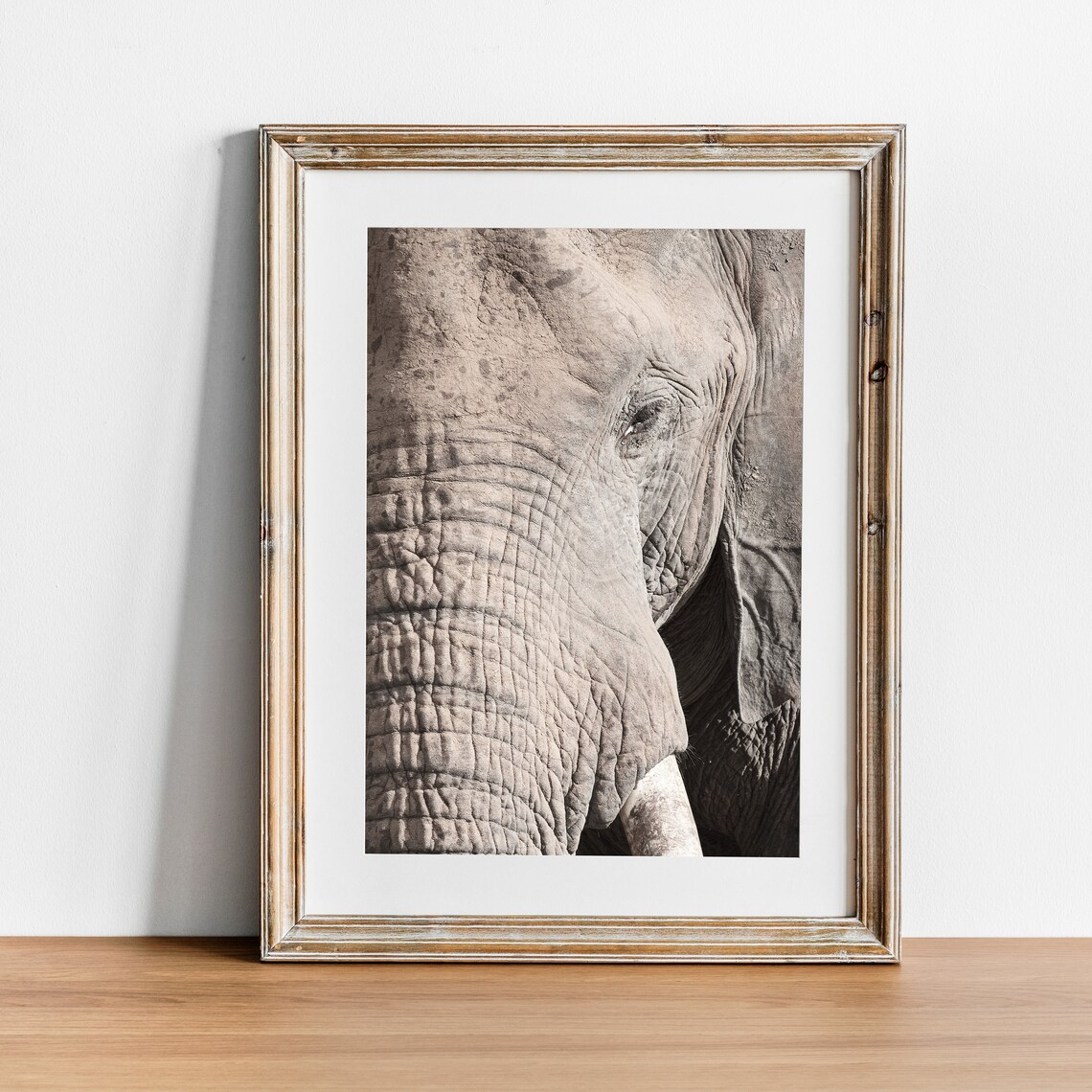 Elephant Print Elephant Wall Art Printable Safari Animal | Etsy
