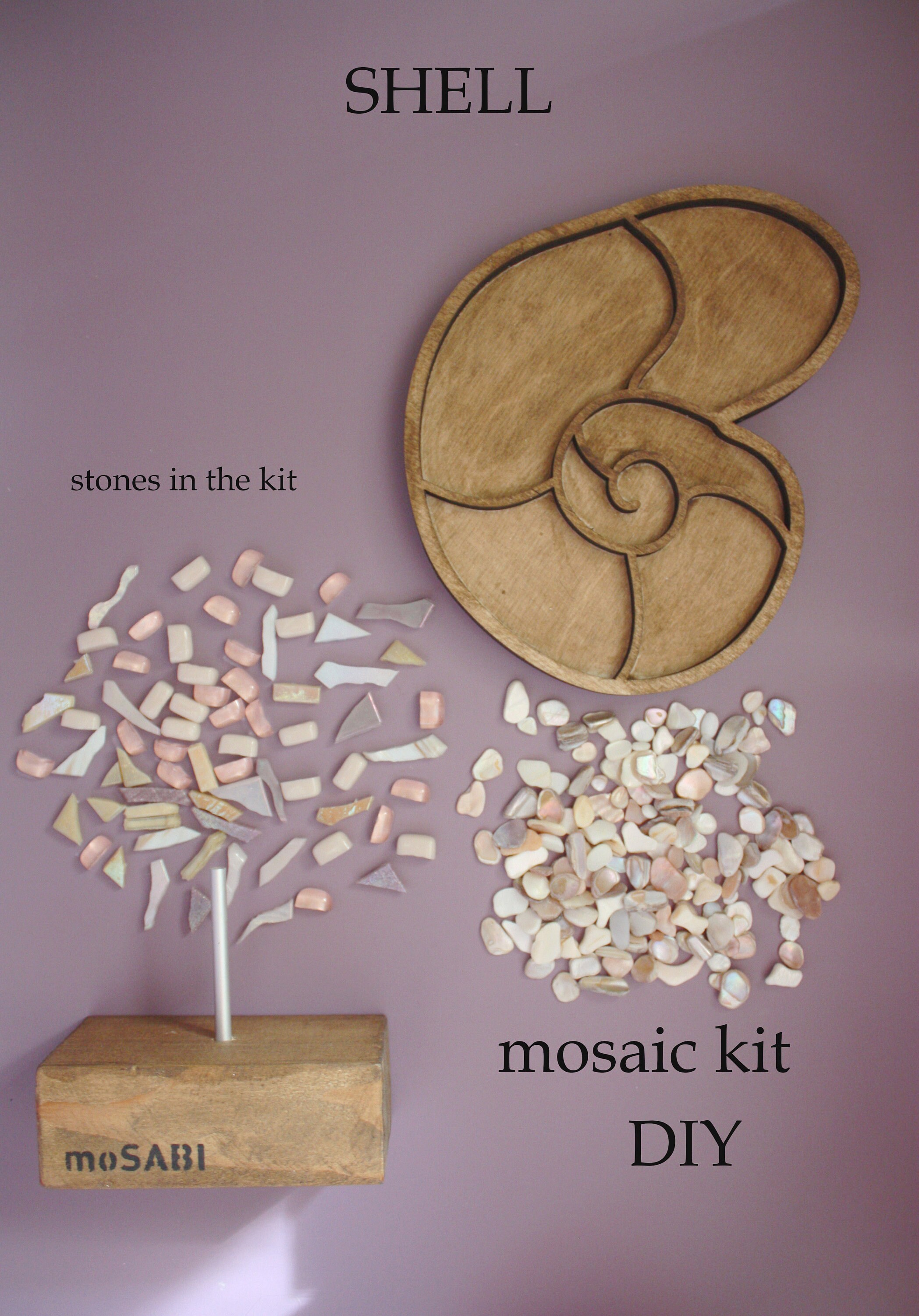 Shell Craft kit Mosaic art glass Diy Craft kit for adults | Etsy