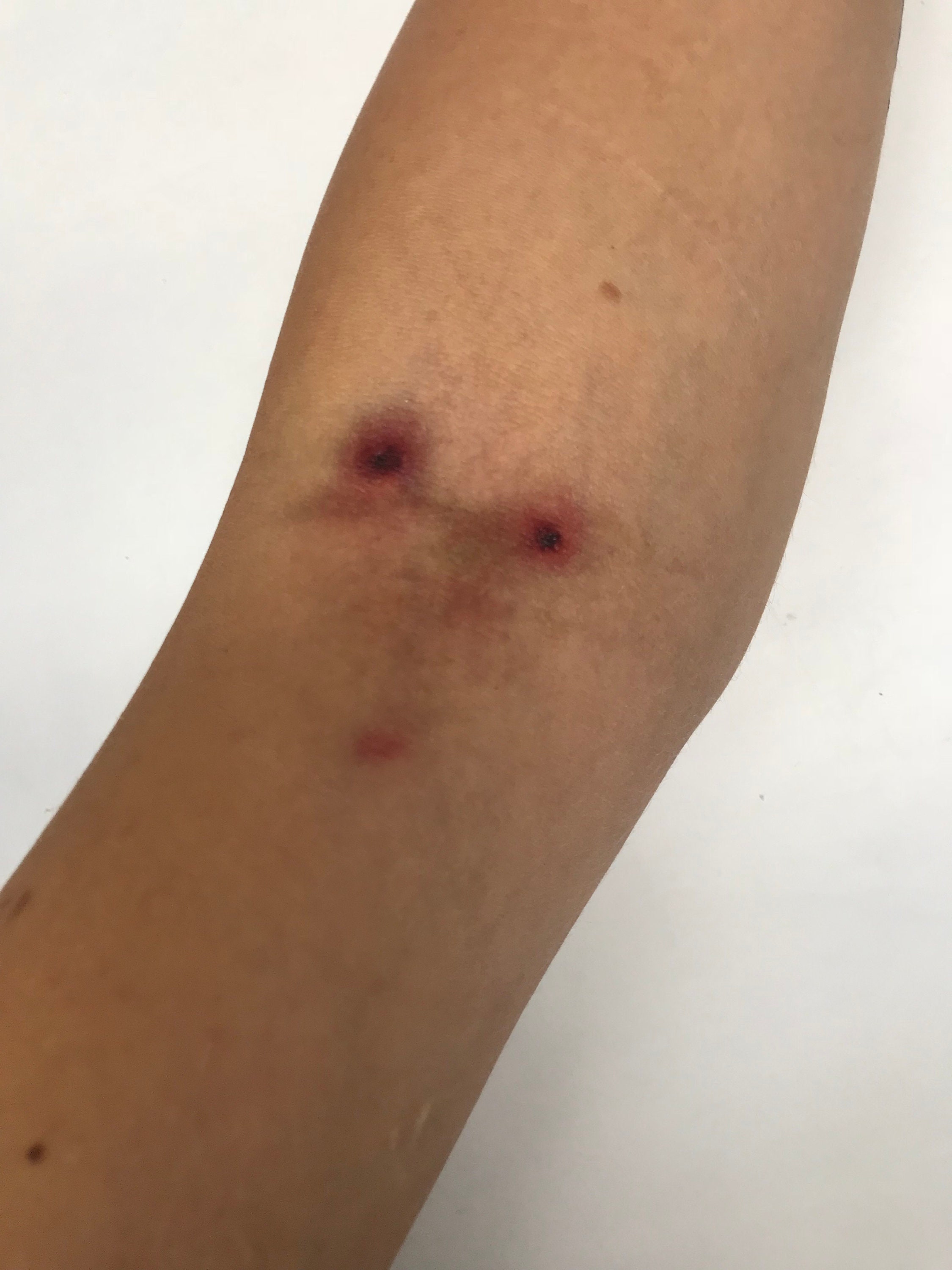 Temporary Tattoo - Junkie - SFX Tattoo - Etsy