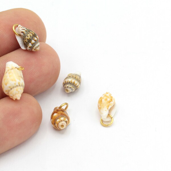 Seashell Necklace - Etsy