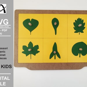 Montessori Botany Cabinet - Leaf Botany Shapes - Child Development ...