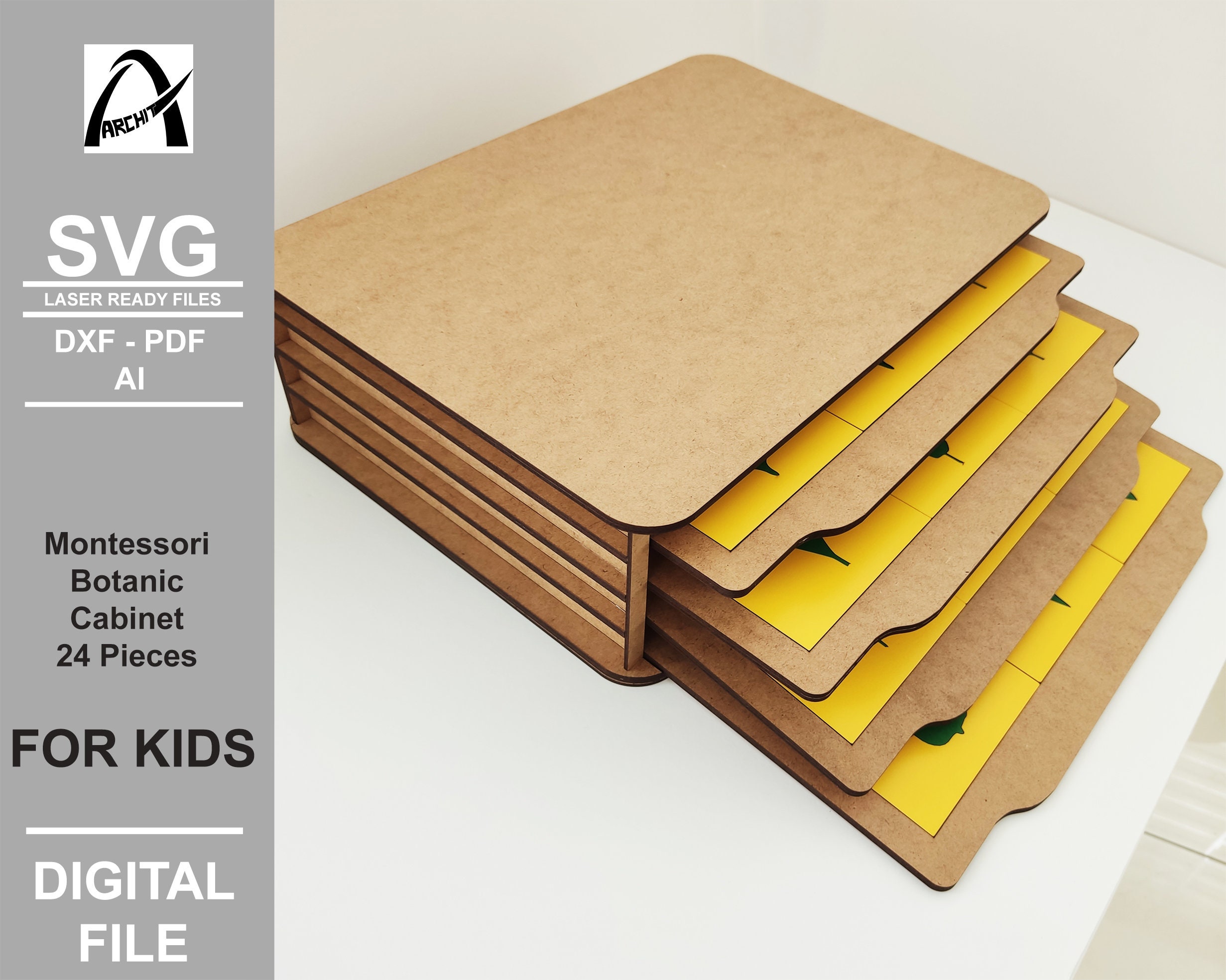 Montessori Botany Cabinet Leaf Botany Shapes Child Development Digital ...