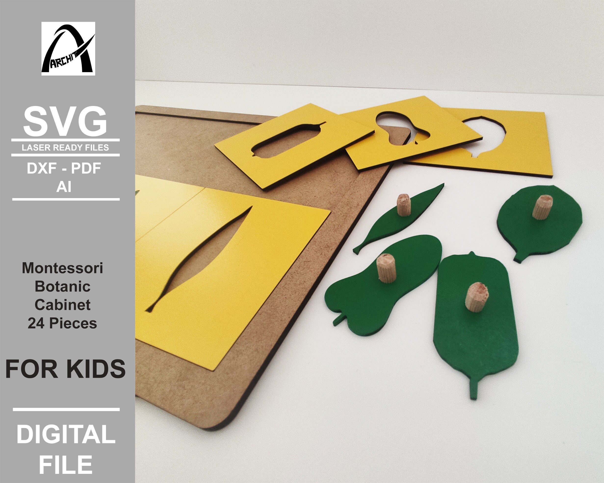 Montessori Botany Cabinet Leaf Botany Shapes Child Development Digital ...