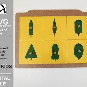 Montessori Botany Cabinet - Leaf Botany Shapes - Child Development ...