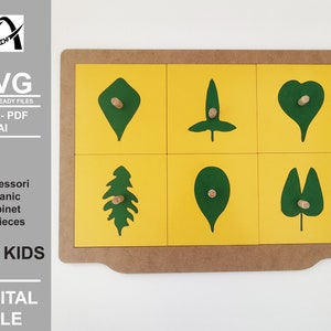 Montessori Botany Cabinet - Leaf Botany Shapes - Child Development ...