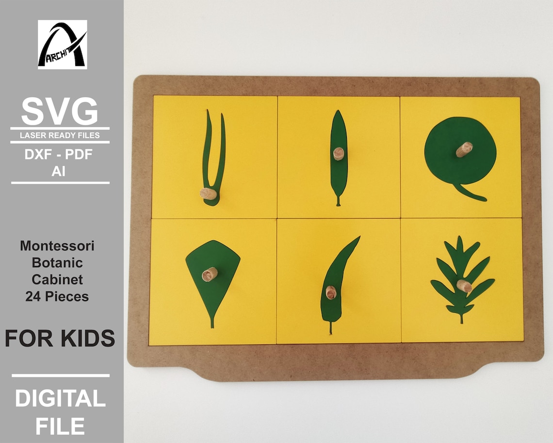 Montessori Botany Cabinet Leaf Botany Shapes Child - Etsy