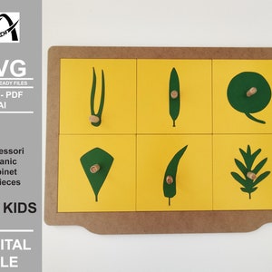 Montessori Botany Cabinet - Leaf Botany Shapes - Child Development ...