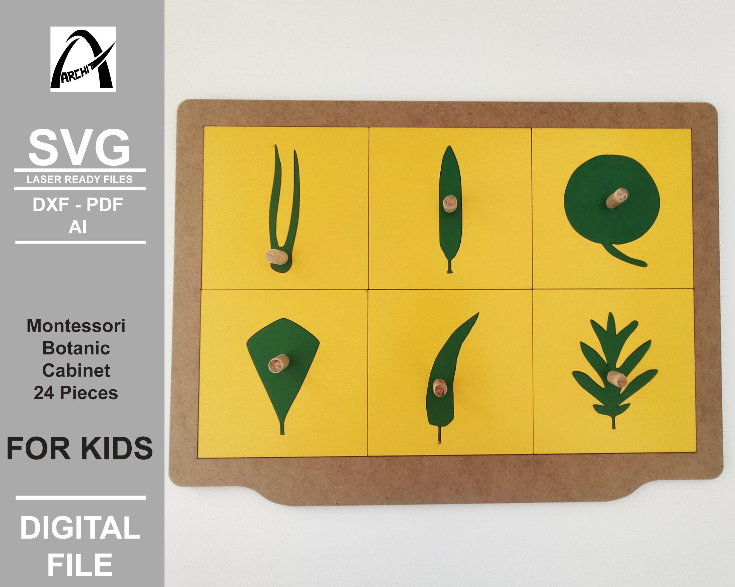 Montessori Botany Cabinet Leaf Botany Shapes Child Development Digital ...