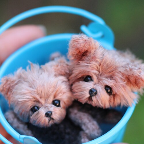 Yorkie Miniature/yorkshire - Etsy