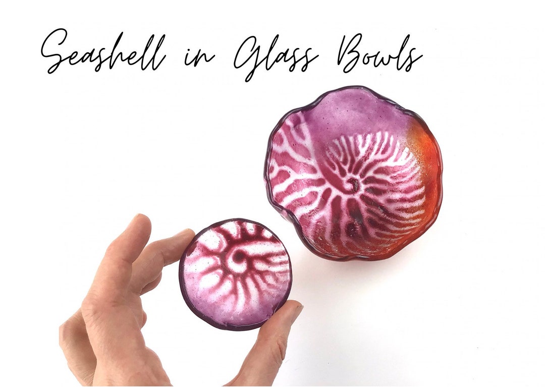 Shell Bowl, Female Shell, Glass Shell, Fruit Bowl, Nuts Bowl ...