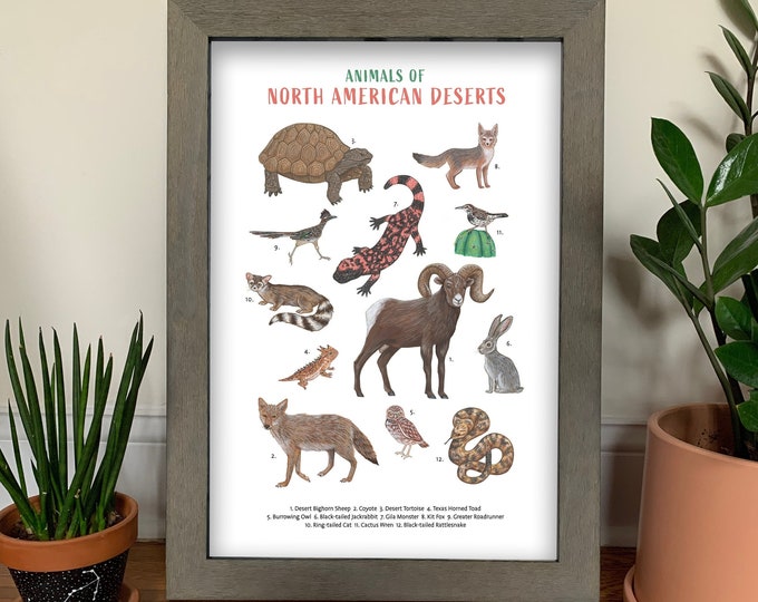 Animals of North American Deserts Art Print, Science Poster - Etsy