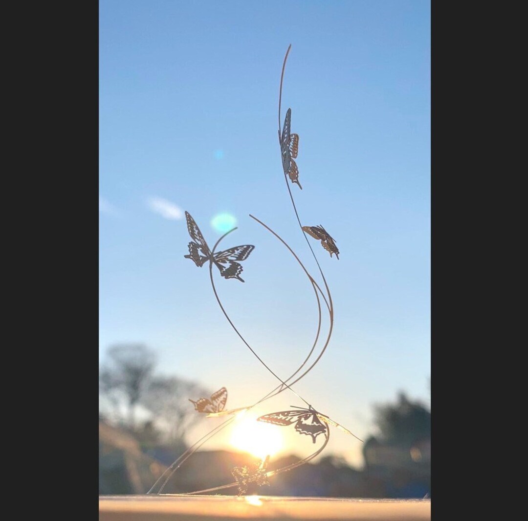 Spiral and Butterfly/butterfly Effect (chaos Theory) - Etsy