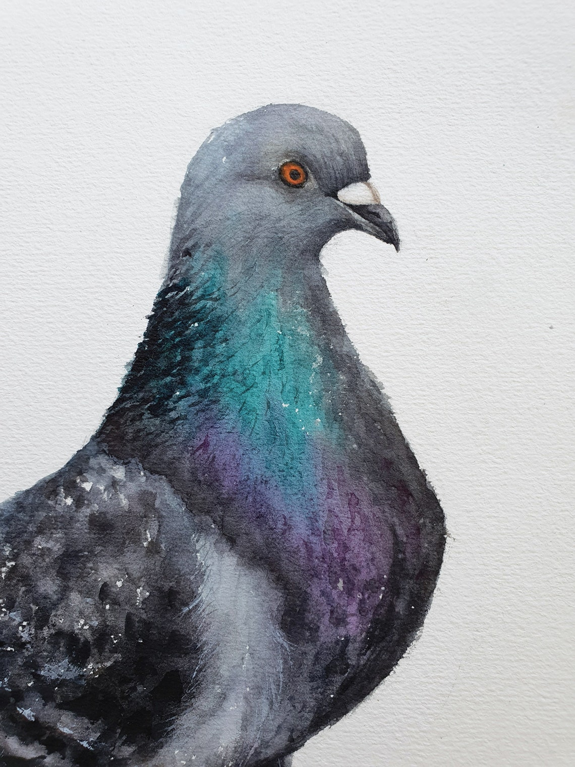Original Watercolor Painting Pigeon Handpainted Bird Art | Etsy