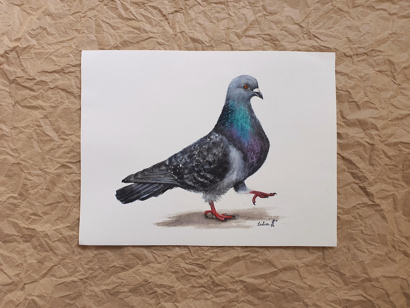 Original Watercolor Painting Pigeon Handpainted Bird Art | Etsy