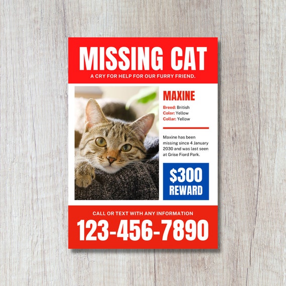 Missing Cat Poster Template Uk