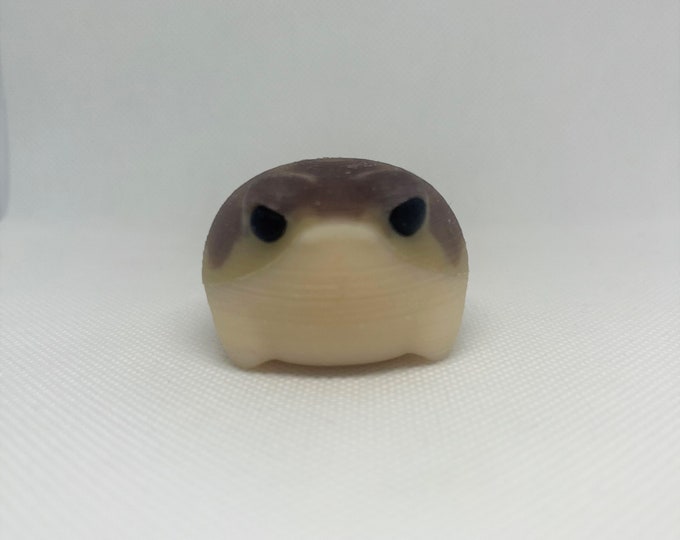 Squishy Rain Frog Stress Pal - Etsy