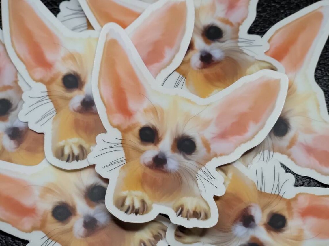 Fennec Fox Clear Vinyl Sticker Waterproof Decal | Etsy