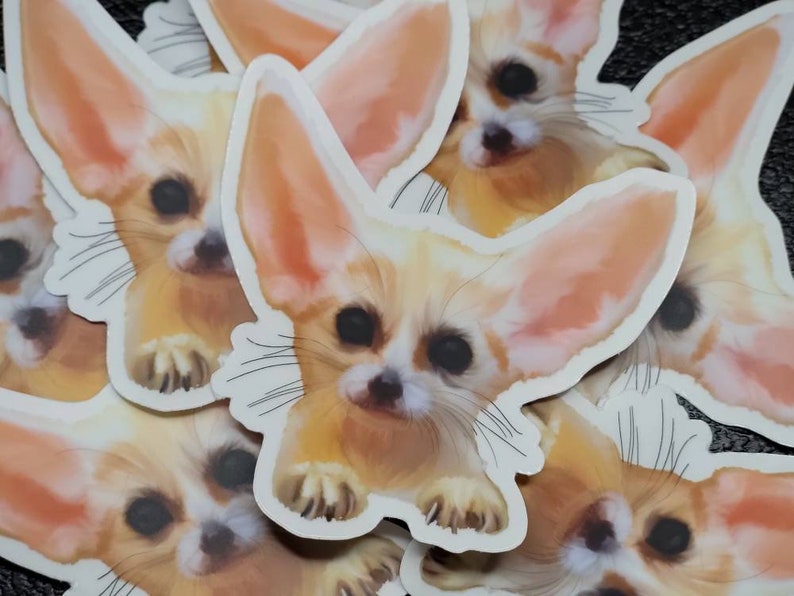 Fennec Fox Clear Vinyl Sticker, Waterproof Decal - Etsy