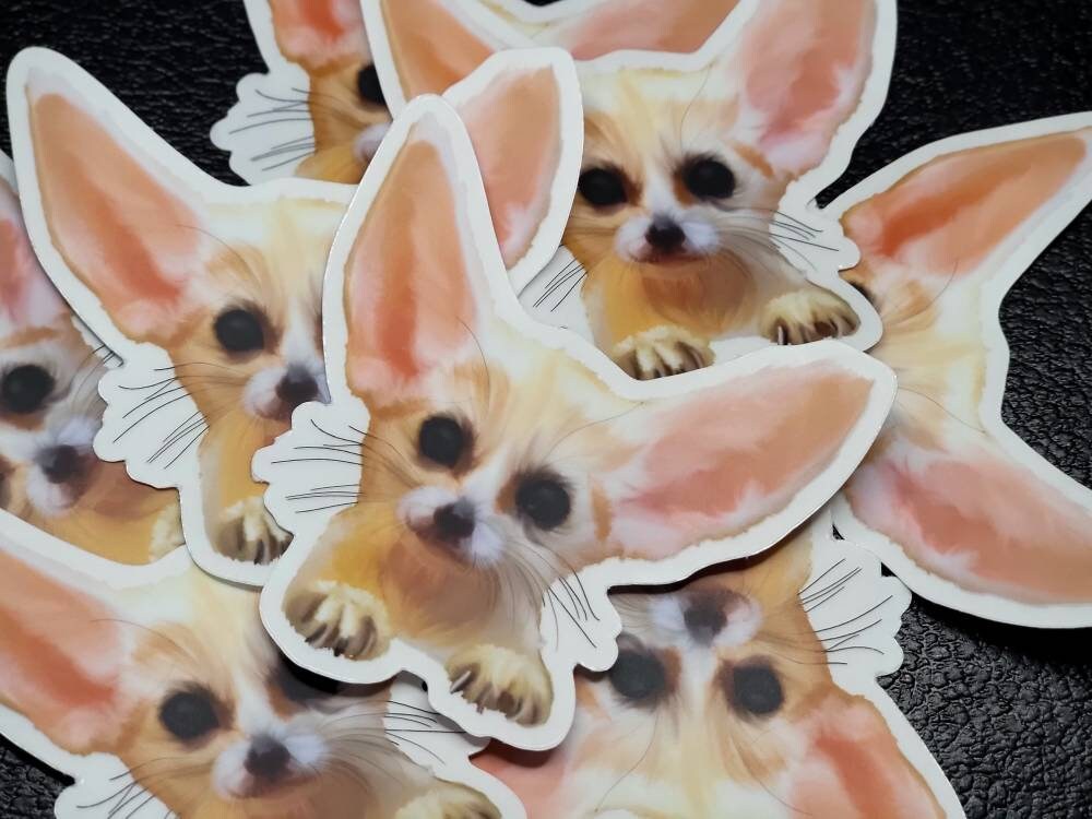 Fennec Fox Clear Vinyl Sticker Waterproof Decal | Etsy