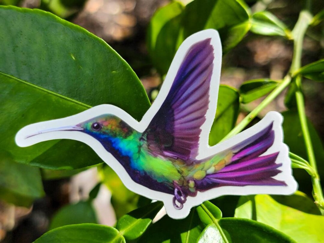 Hummingbird Sticker - Crowned Woodnymph Matte Vinyl Decal - Etsy