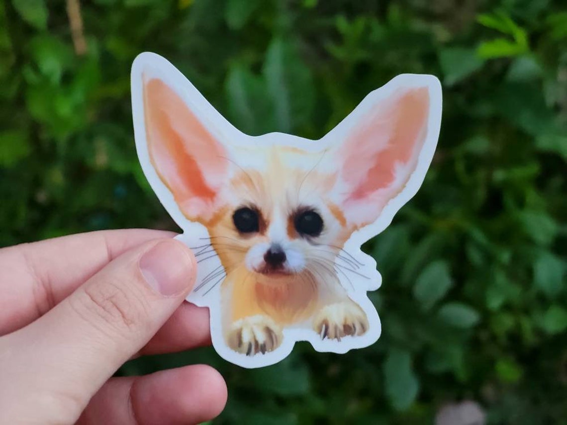 Fennec Fox Clear Vinyl Sticker Waterproof Decal | Etsy