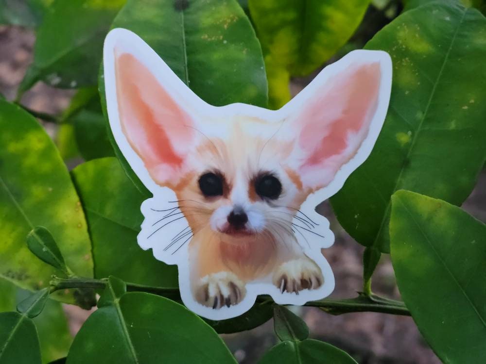 Fennec Fox Clear Vinyl Sticker Waterproof Decal | Etsy