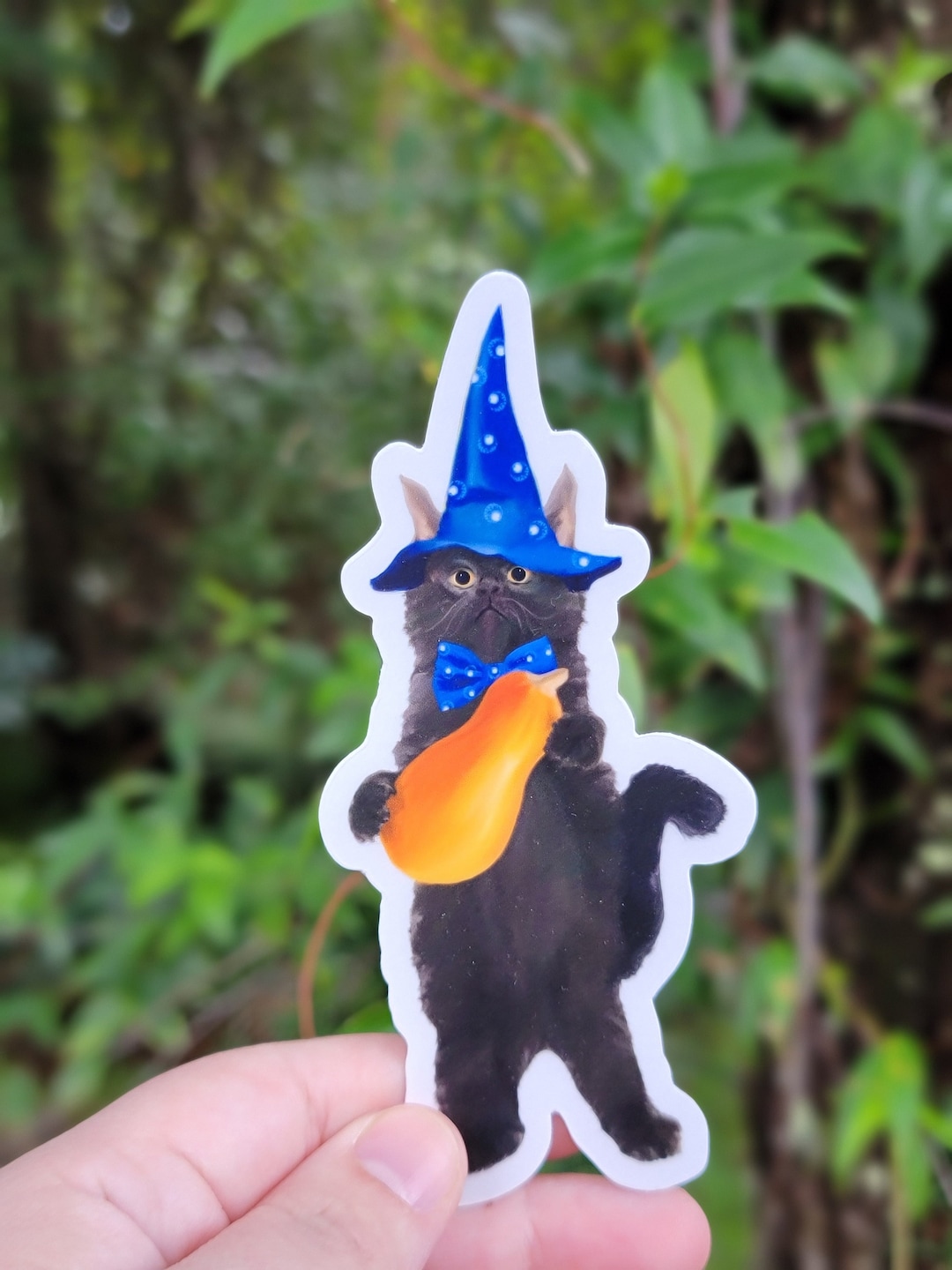 Wizard Cat Sticker: Black Cat Butternut Squash Waterproof Vinyl Decal ...
