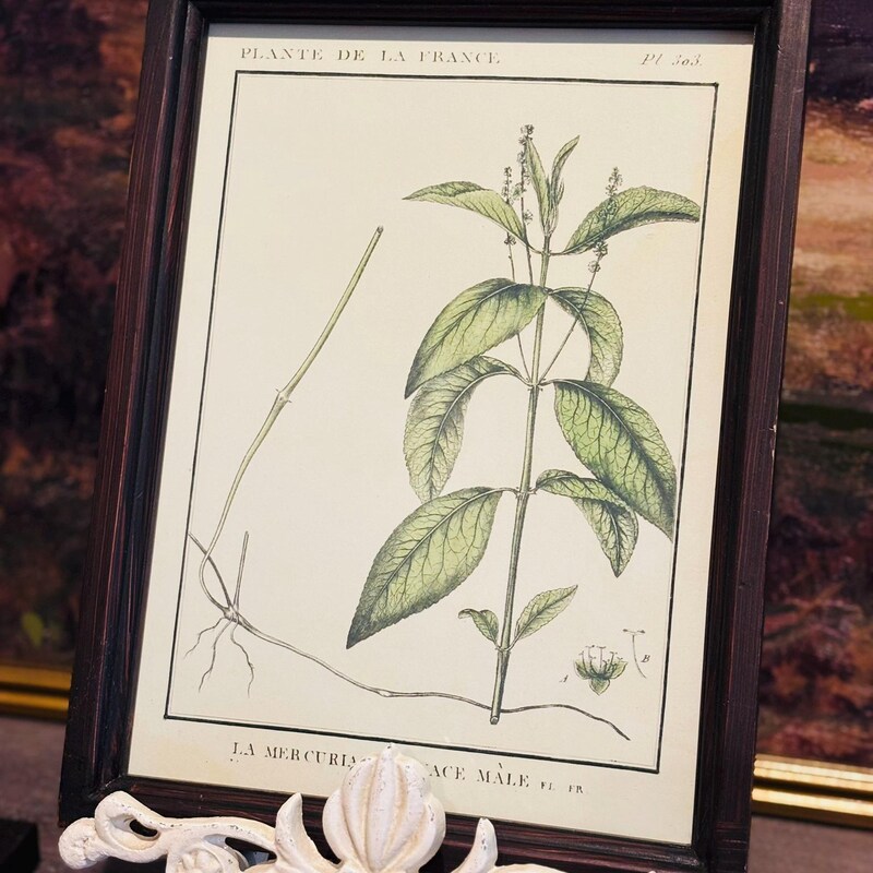 Botanical Book Plate - Etsy