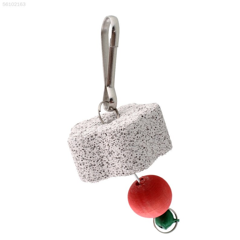 Green Squirel Rat Cage Chew Bite Scratcher Bell Toy Teeth - Etsy