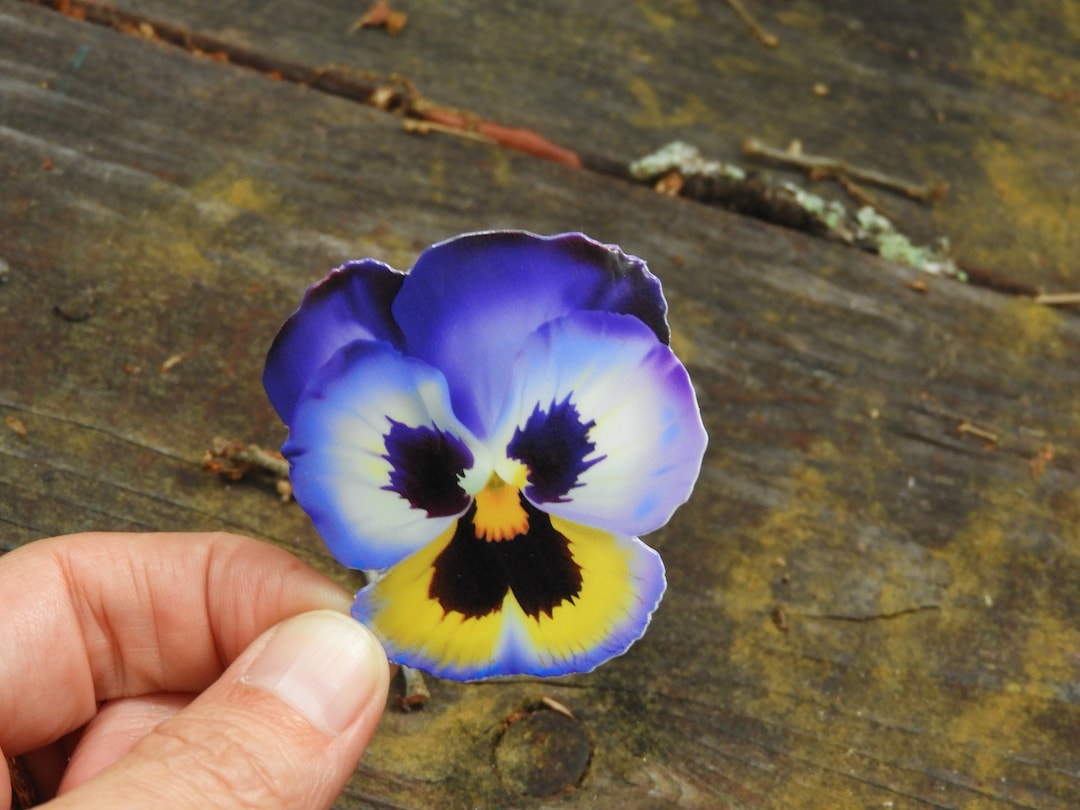 2 Sticker VINYL Purple and Yellow Pansy STICKER Water Resistant Vinyl 2 ...