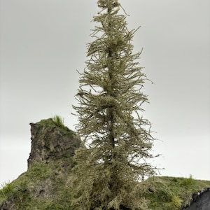 7" Model Blue Spruce Pine Tree - Etsy