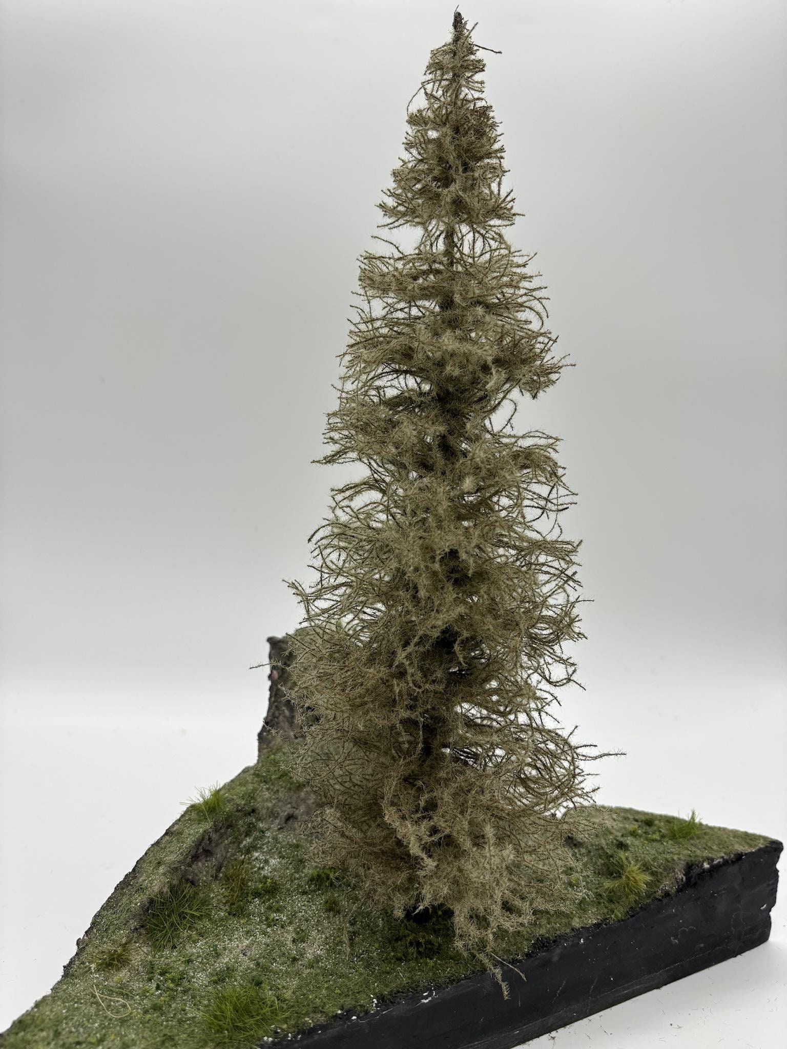 12 Model Blue Spruce Pine Tree - Etsy