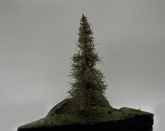 12 Model Blue Spruce Pine Tree - Etsy