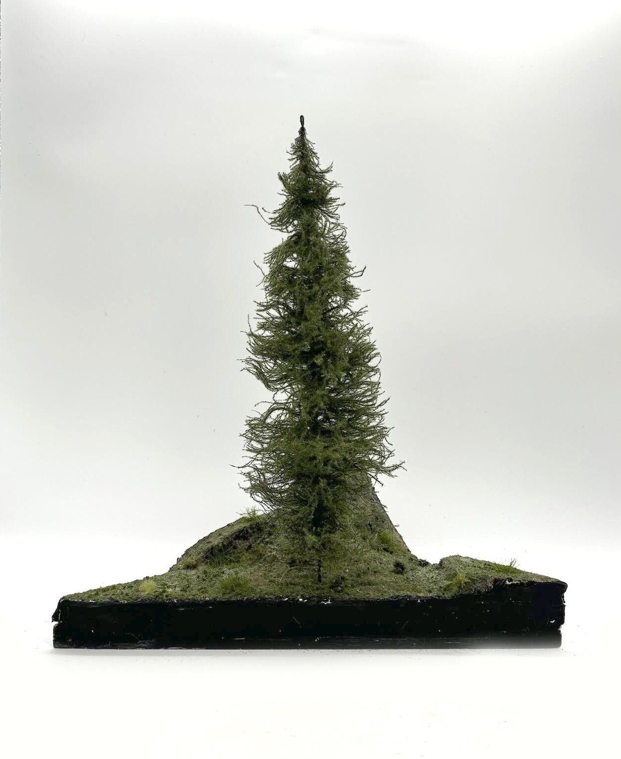 12 Model Pine Tree - Etsy
