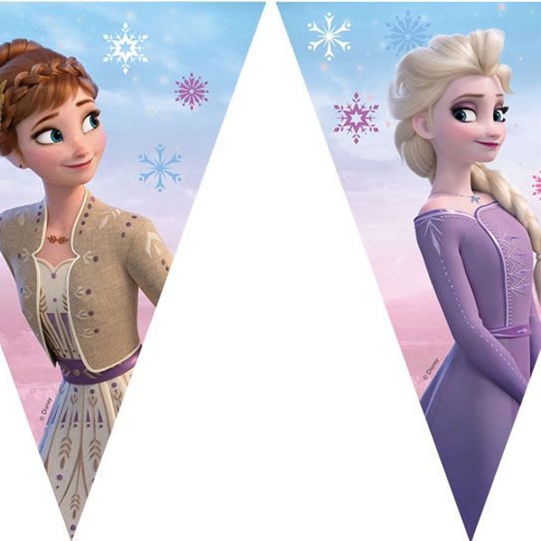 Frozen Banner - Etsy UK