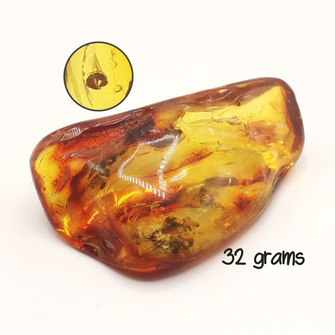 Large Baltic Amber With Fly 32 Grams Stone With Insect Inclusion, Huge ...