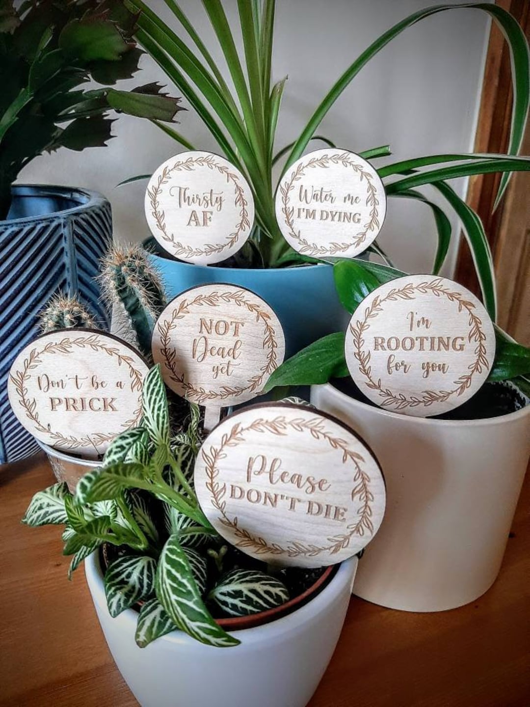 Set of Funny Plant Pot Tags - Etsy