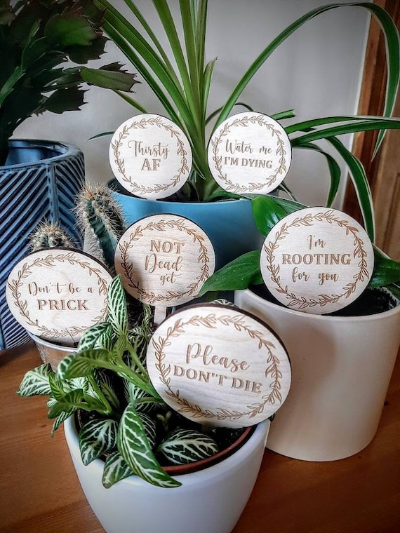 Set of funny plant pot tags | Etsy