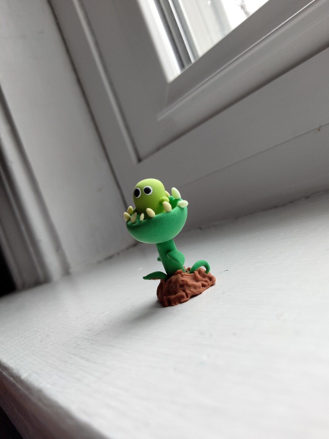 Cactus in a Venus Fly Trap - Etsy