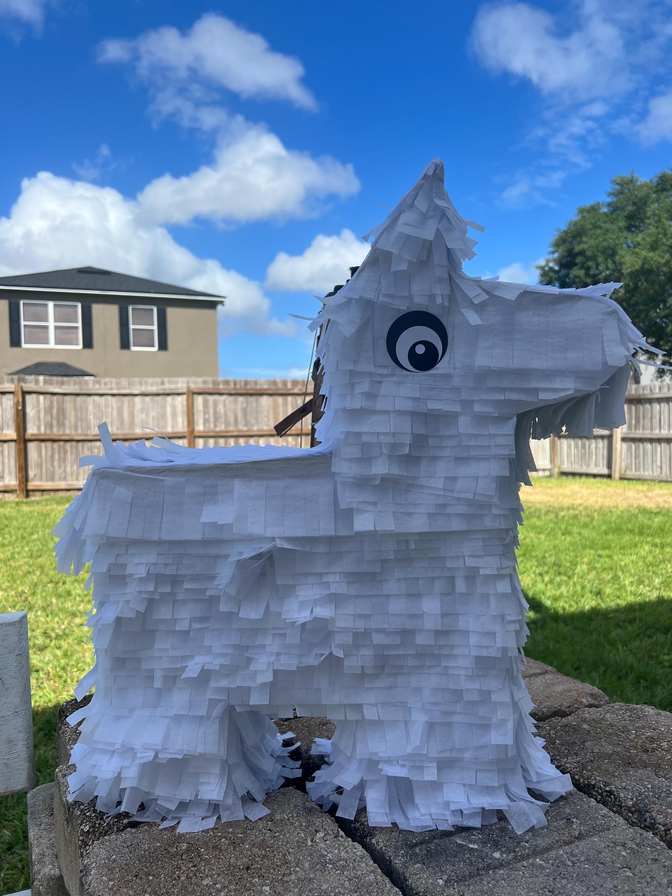 Donkey Pinata Mexican Theme - Etsy