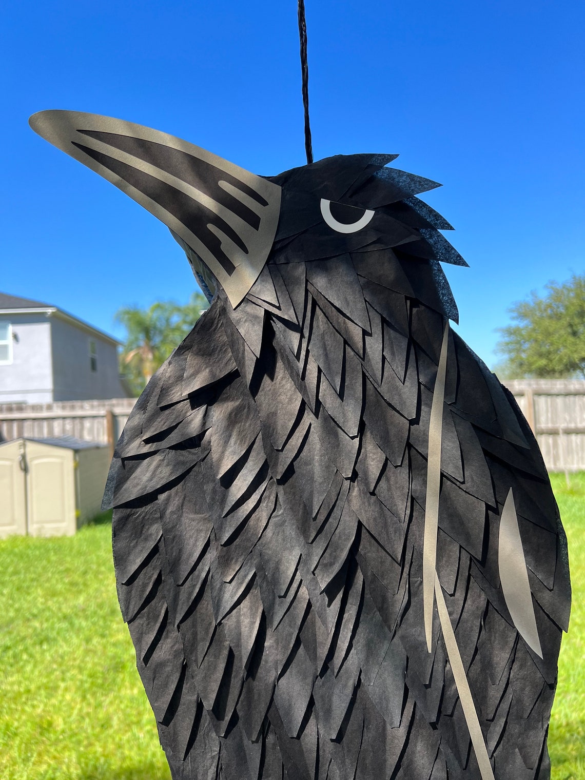 Raven Bird Pinata Halloween Theme Party - Etsy