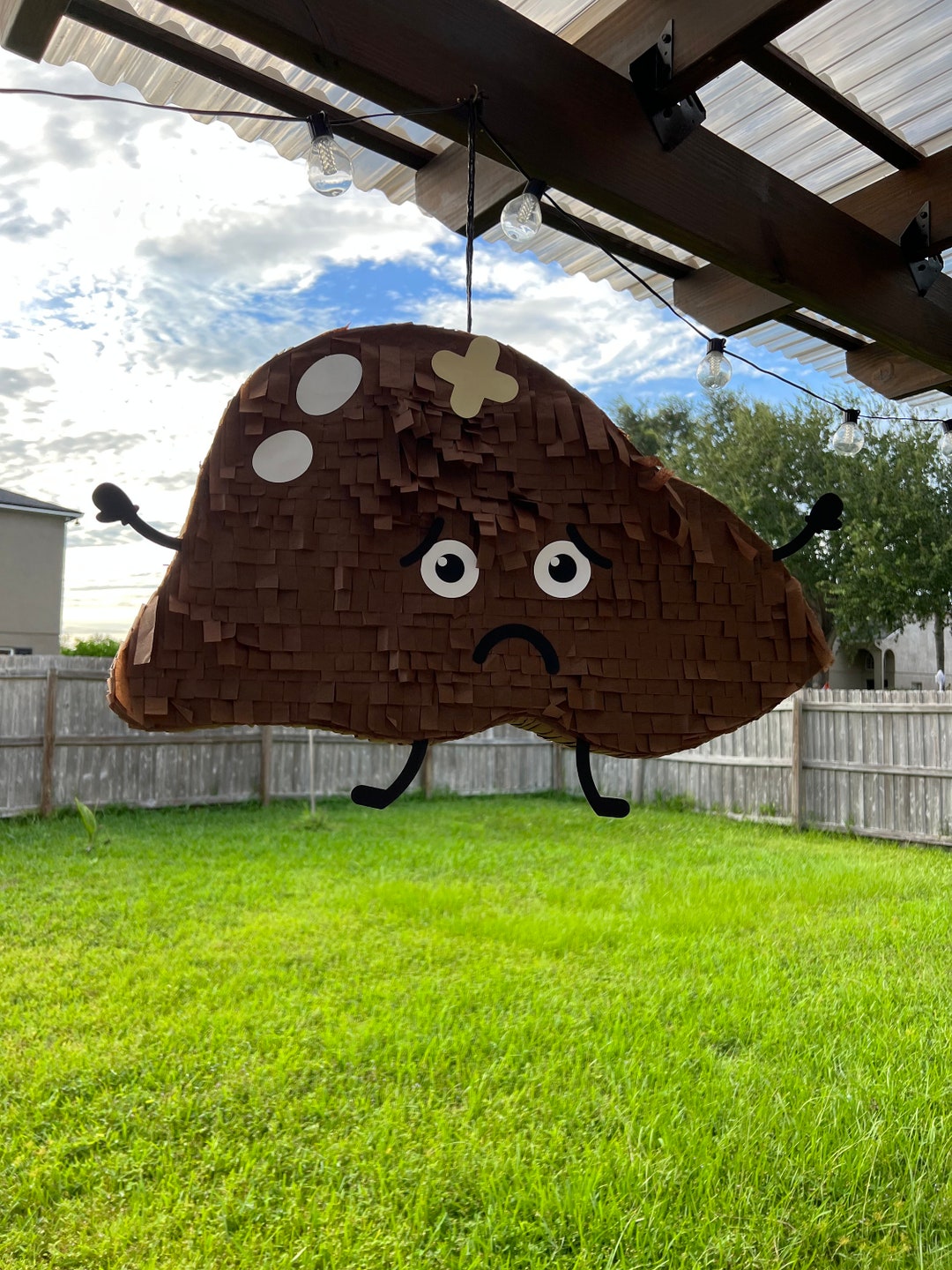 Liver Organ Pinata - Etsy