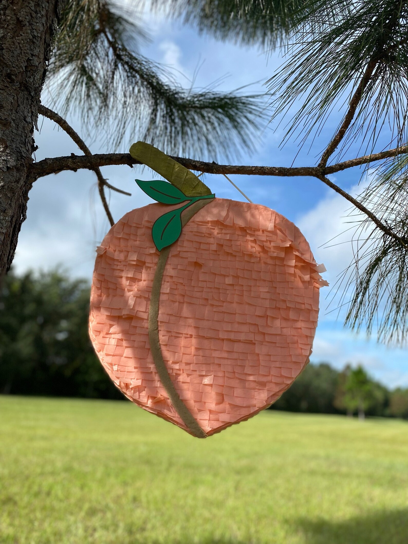 Peach Pinata for Thematic Party pinata De Durazno - Etsy