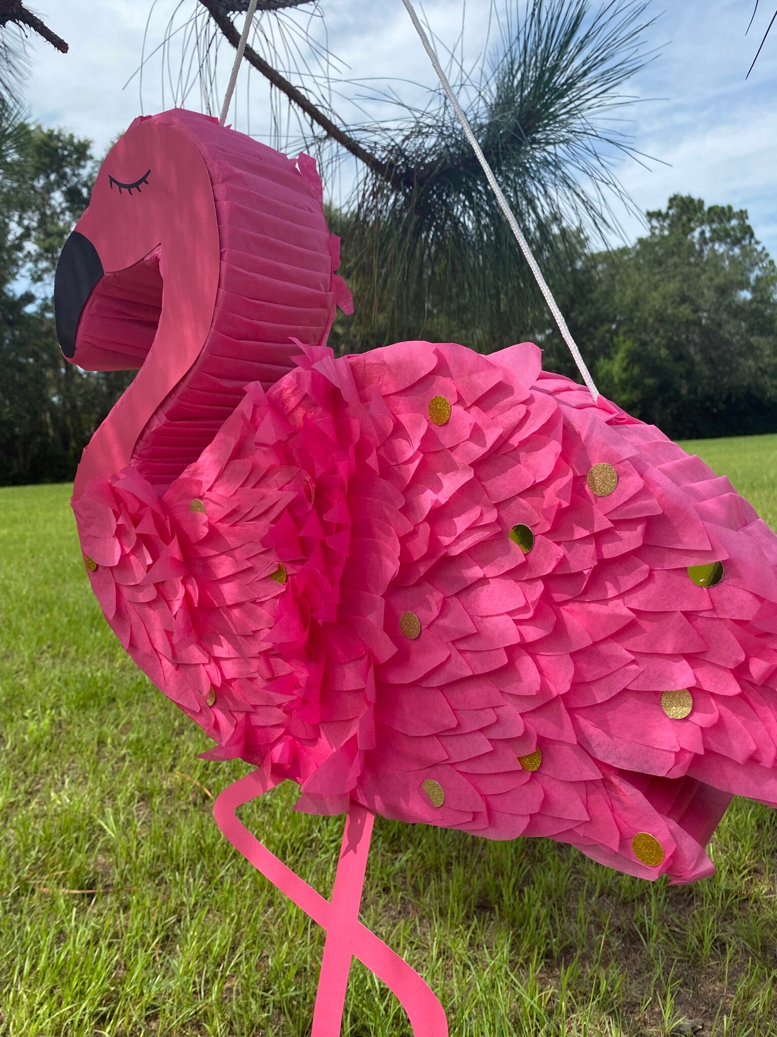 Flamingo Pinata Bird Theme | Etsy