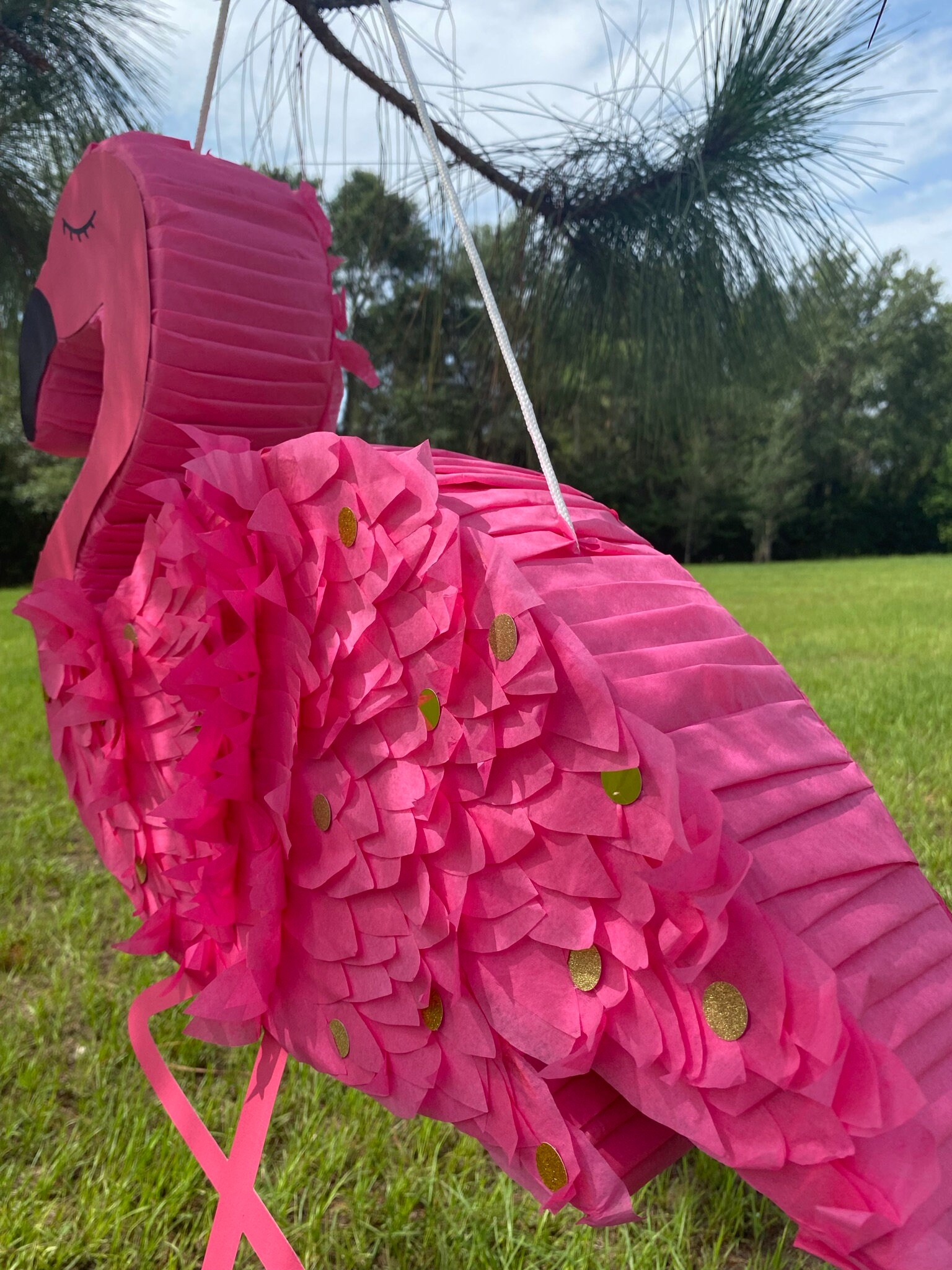 Flamingo Pinata Bird Theme | Etsy