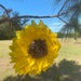Sunflower Pinata Flower Theme - Etsy