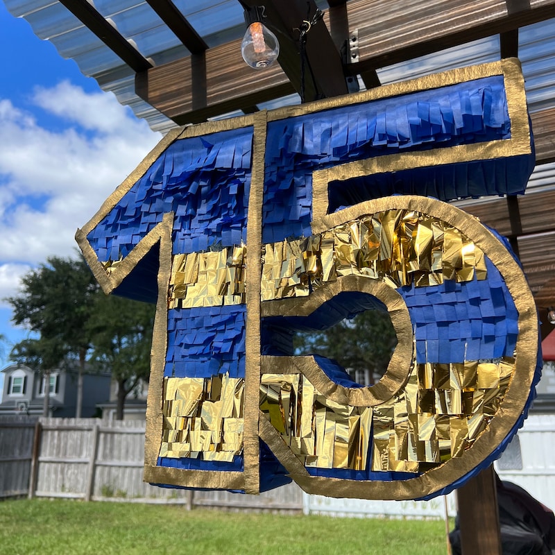 Birthday Pinata - Etsy