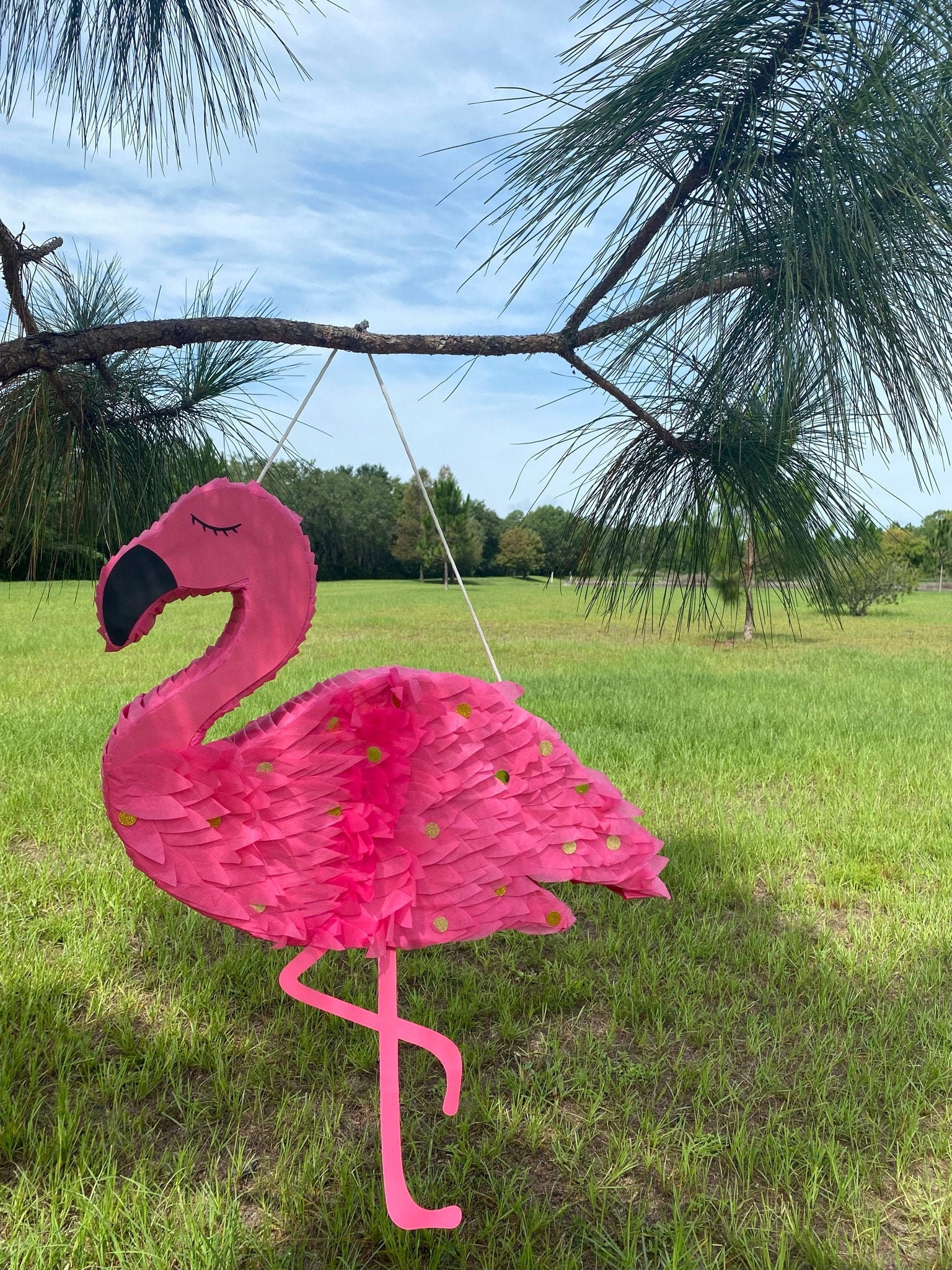 Flamingo Pinata Bird Theme | Etsy